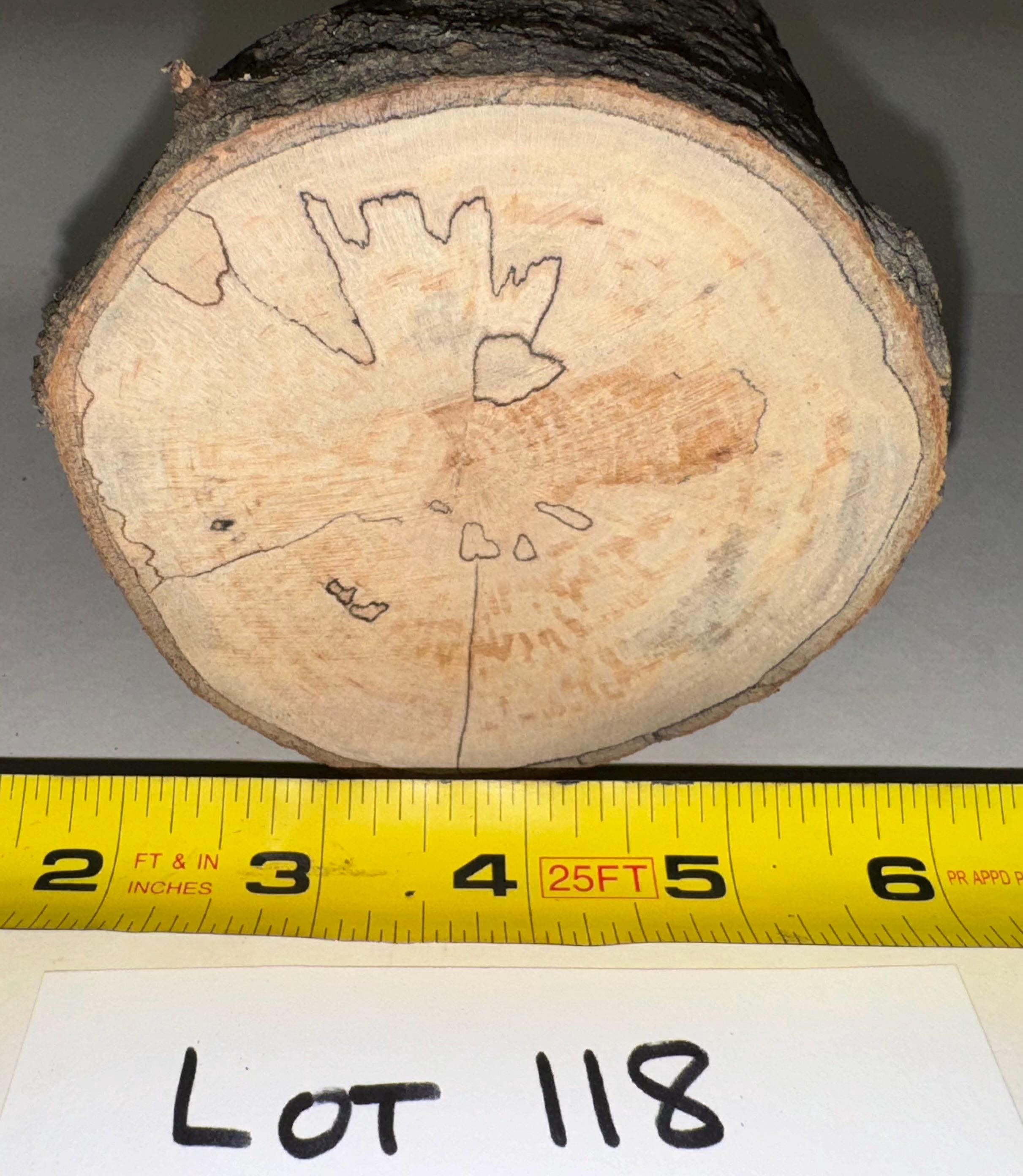 One Piece Spalted Maple Craft Log for Woodworking, Woodturning, Turning ...