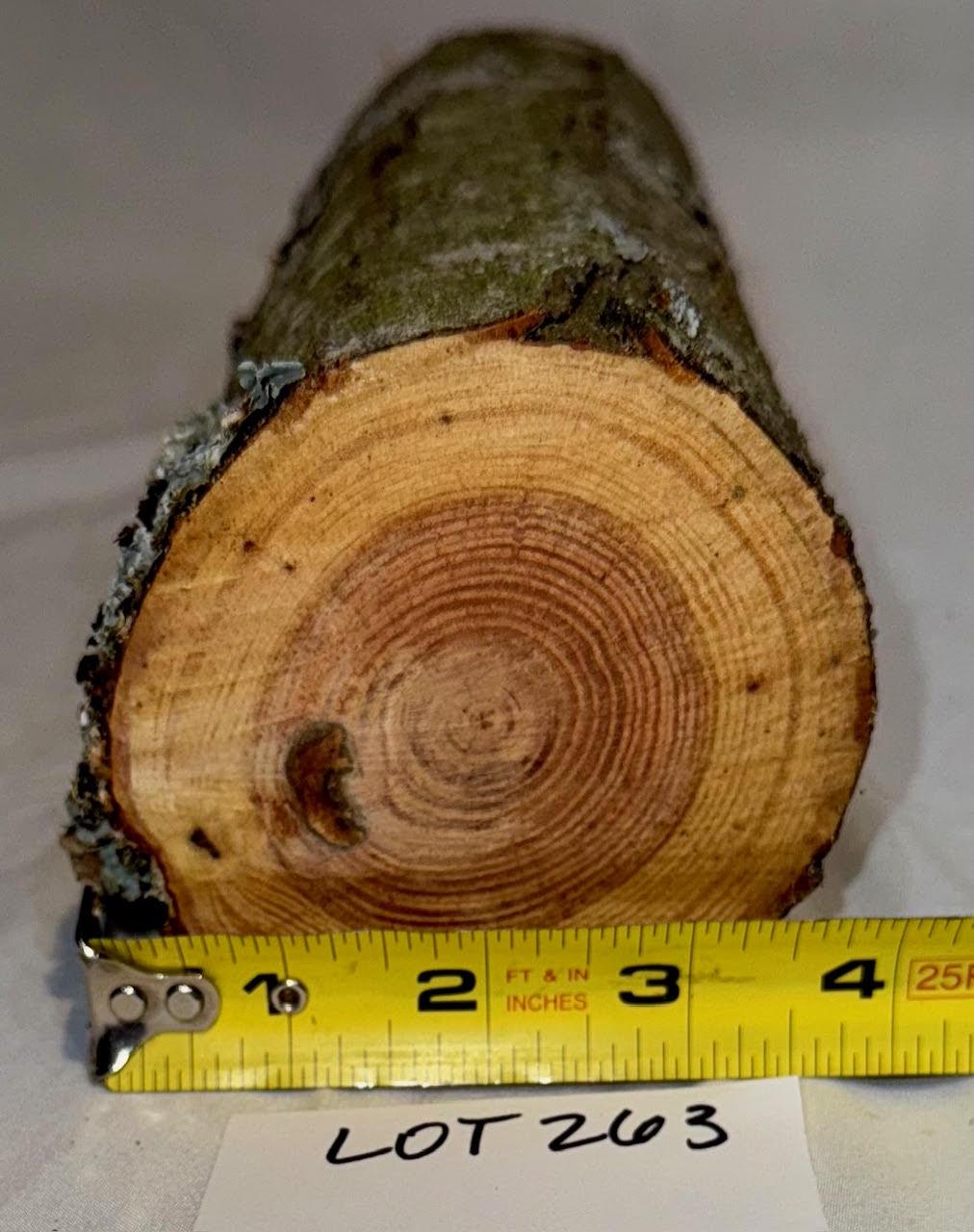 Honey Locust Project Log, Rustic Green Project Wood for Turning Blanks ...