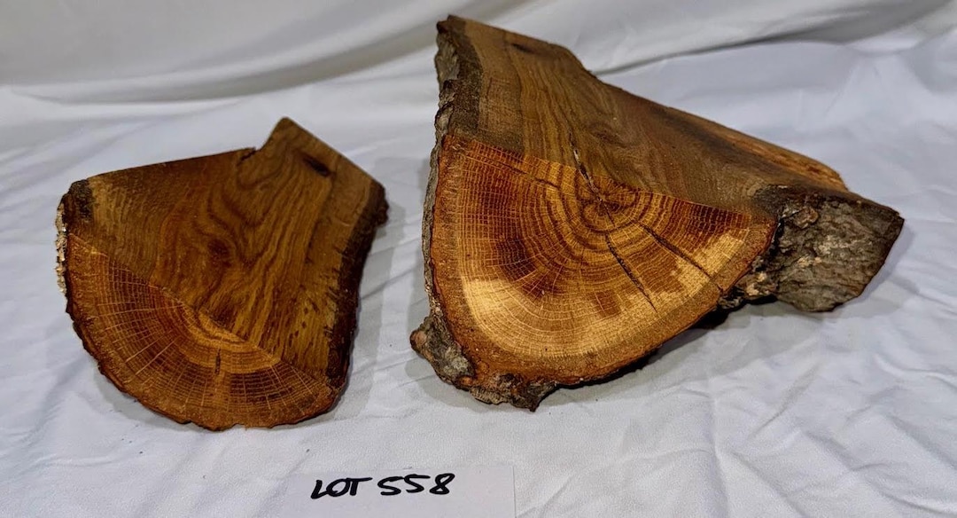 Oak Branch Wood Junction, Carving Blanks, Woodworking Project Pack - Etsy