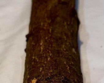 Beautiful Spalted Red Oak Craft Log, Project Wood for Wood Turning ...