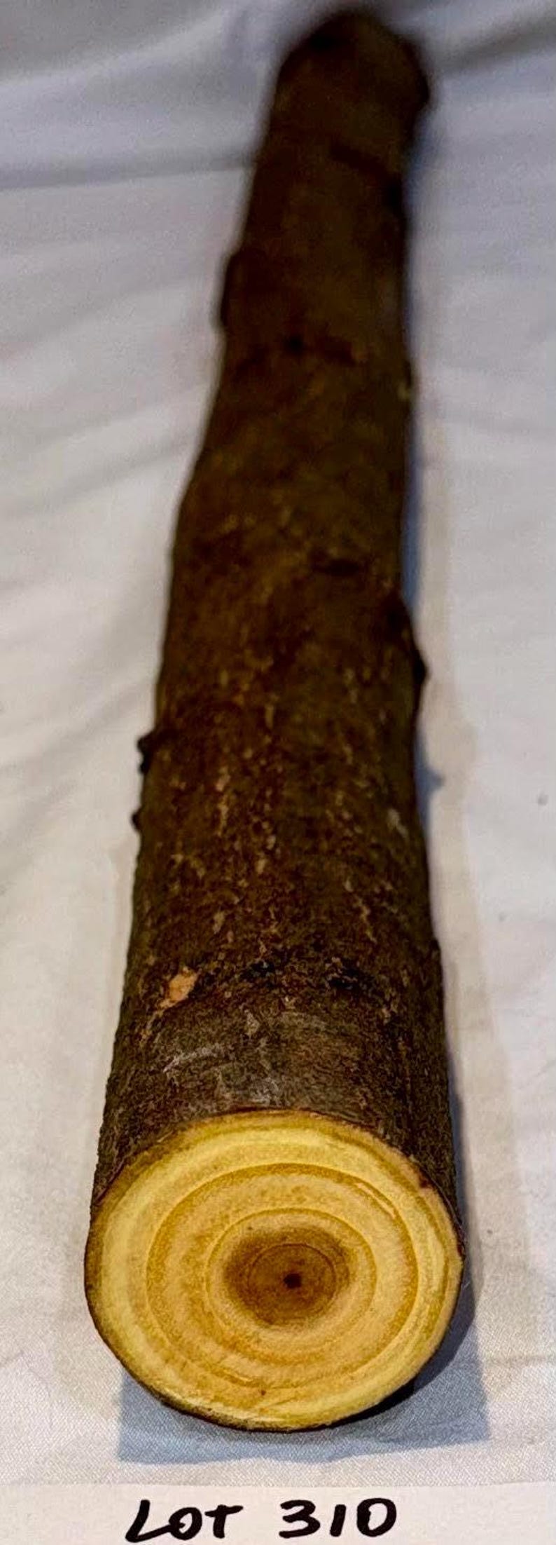 Black Locust Craft Log, Green Project Wood for Wood Working, Wood ...
