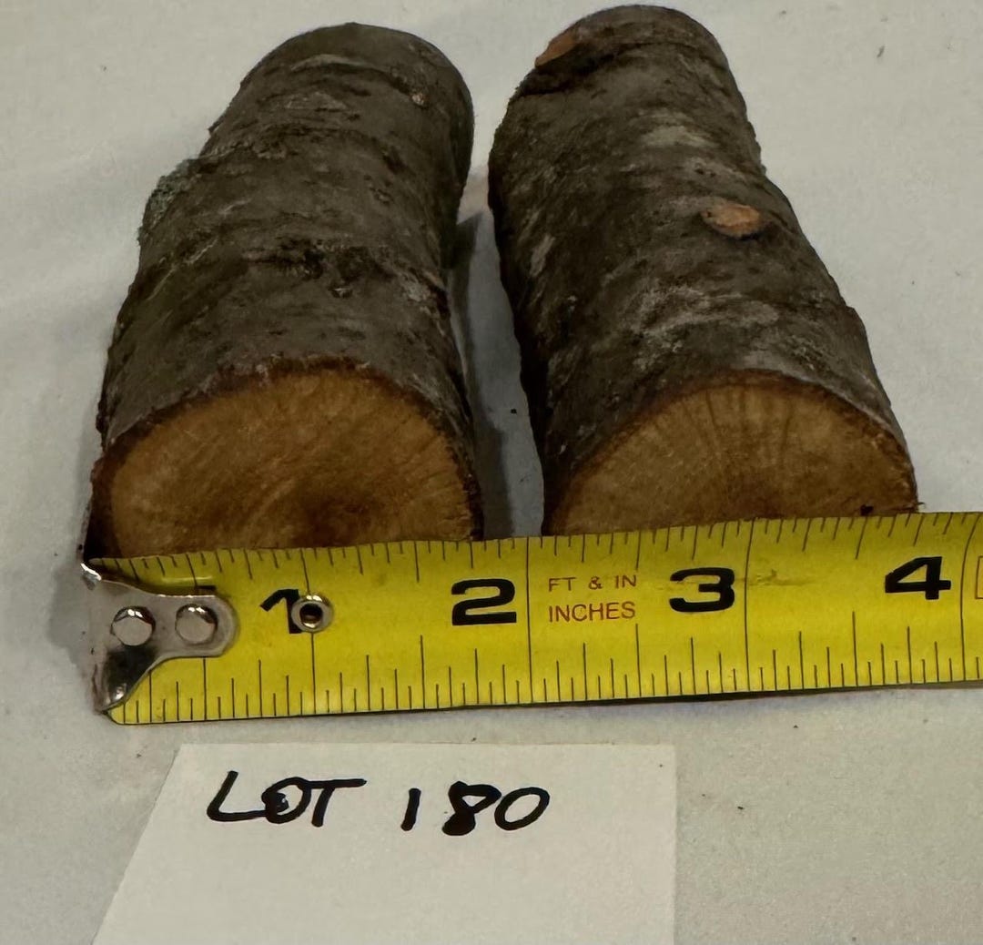 2 Pieces Oak Craft Logs for Wood Turning, Wood Working, Wood Carving ...