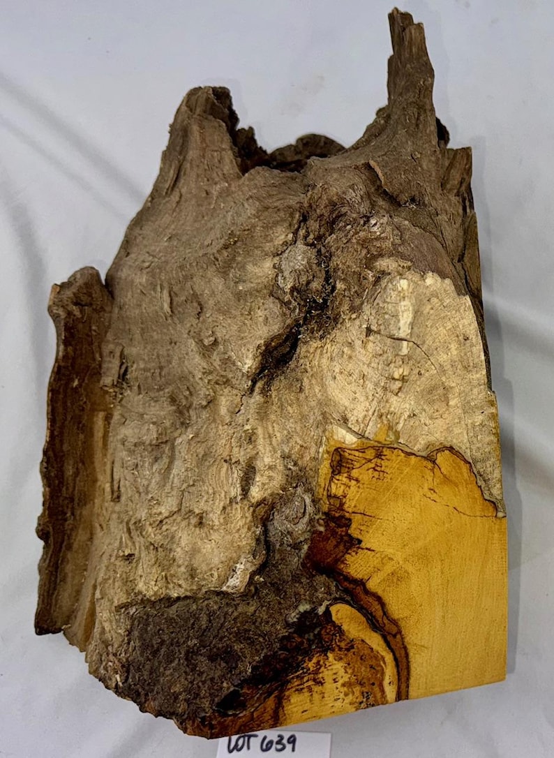 Large Spalted Maple Project Wood With Burl, 12 X 11 X 5.5 Inches - Etsy UK