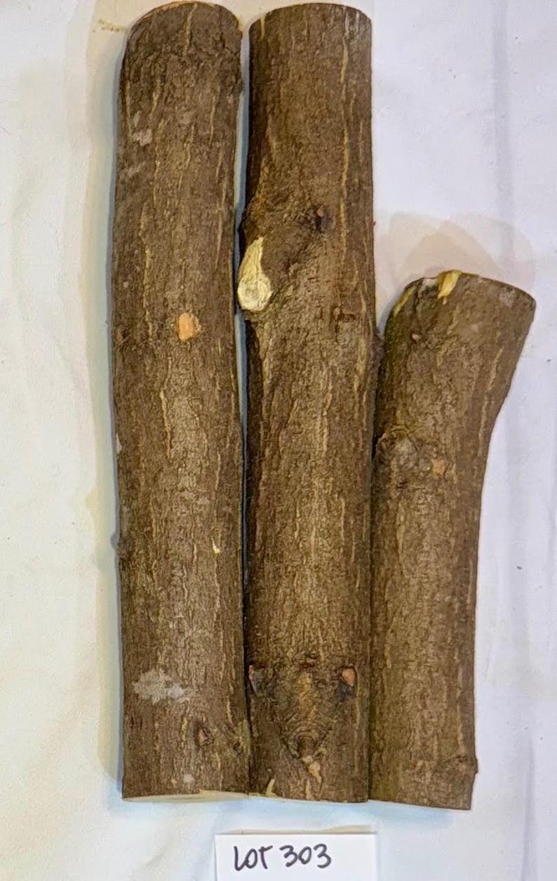 3 Pieces Black Locust Craft Logs, Green Project Wood for Wood Carving ...