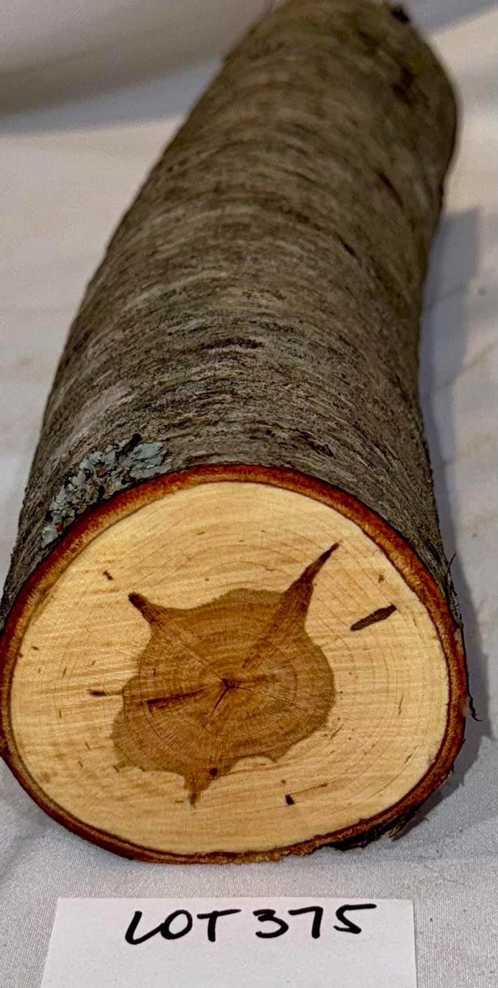 Black Cherry Craft Log, Green Project Log for Woodworking, Wood Turning ...