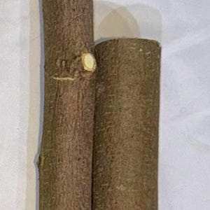 2 Pieces Black Locust Craft Logs, Green Project Wood for Turning ...