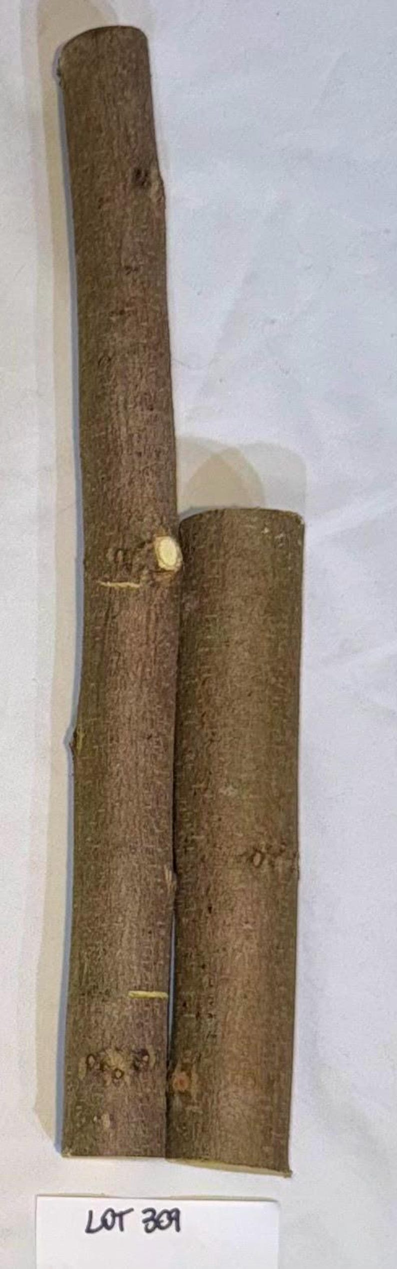 2 Pieces Black Locust Craft Logs, Green Project Wood for Turning ...