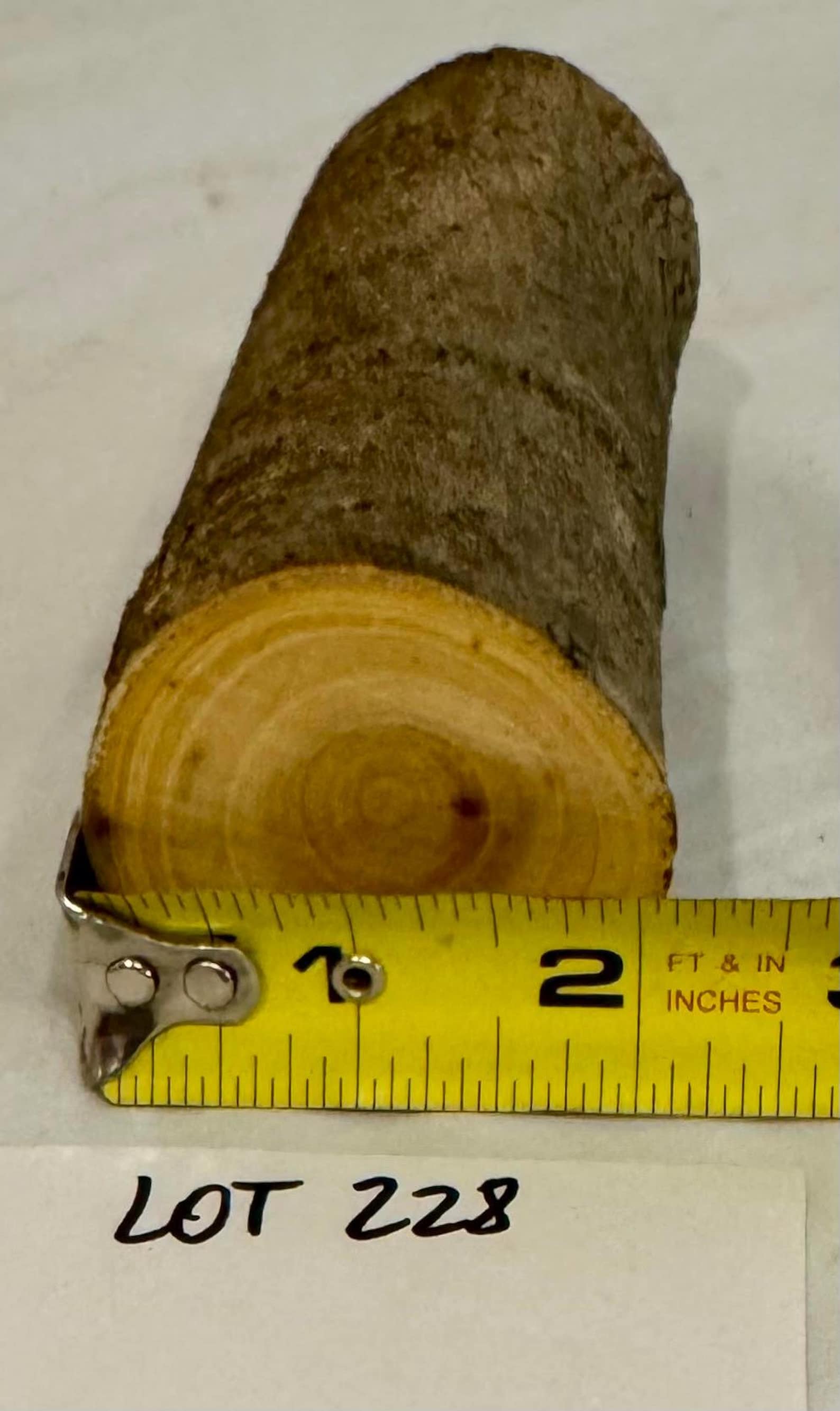 Mulberry Wood Craft Log, Wood Turning, Carving Blank (5.25x2 Inches) - Etsy