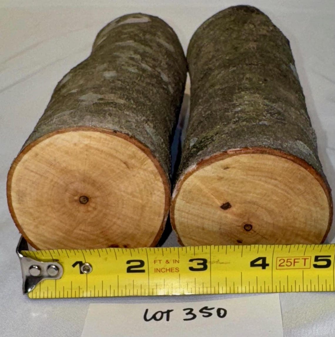 2 Pieces Red Maple Craft Logs, Green Project Logs for Woodworking, Wood ...