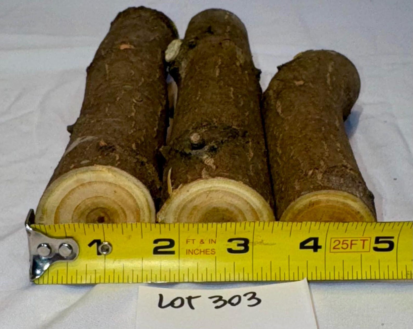 3 Pieces Black Locust Craft Logs, Green Project Wood for Wood Carving ...