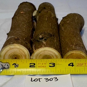 3 Pieces Black Locust Craft Logs, Green Project Wood for Wood Carving ...