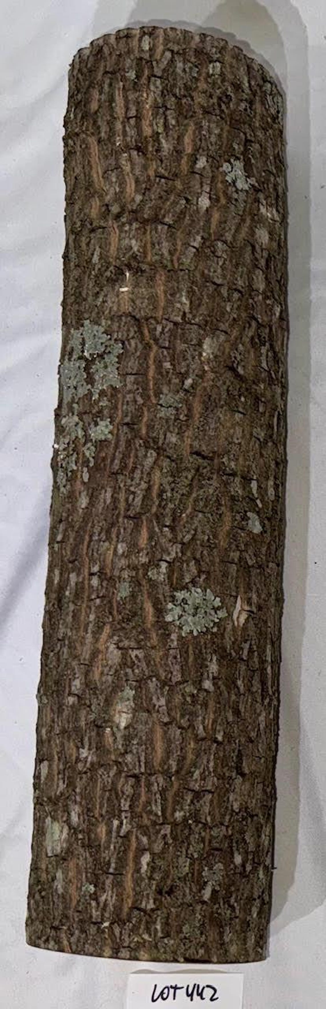 Persimmon Project Log, Green Project Wood for Woodworking, Wood Carving ...