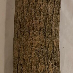 Mulberry Wood Carving Blank, Woodturning Project Piece (9.25"x2.75") - Etsy