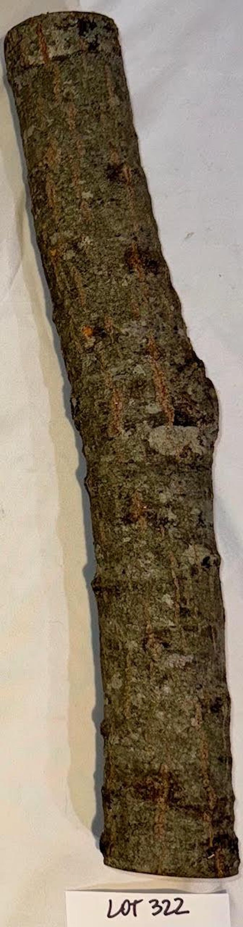 Honey Locust Craft Log, Green Project Wood for Wood Working, Wood ...