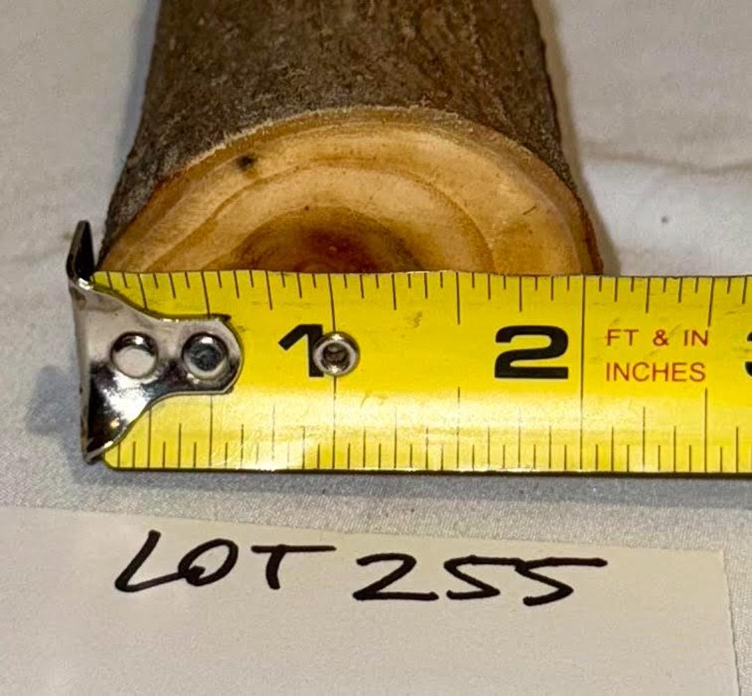 One Piece Black Locust Craft Log, Green Wood Craft Log for Wood Turning ...