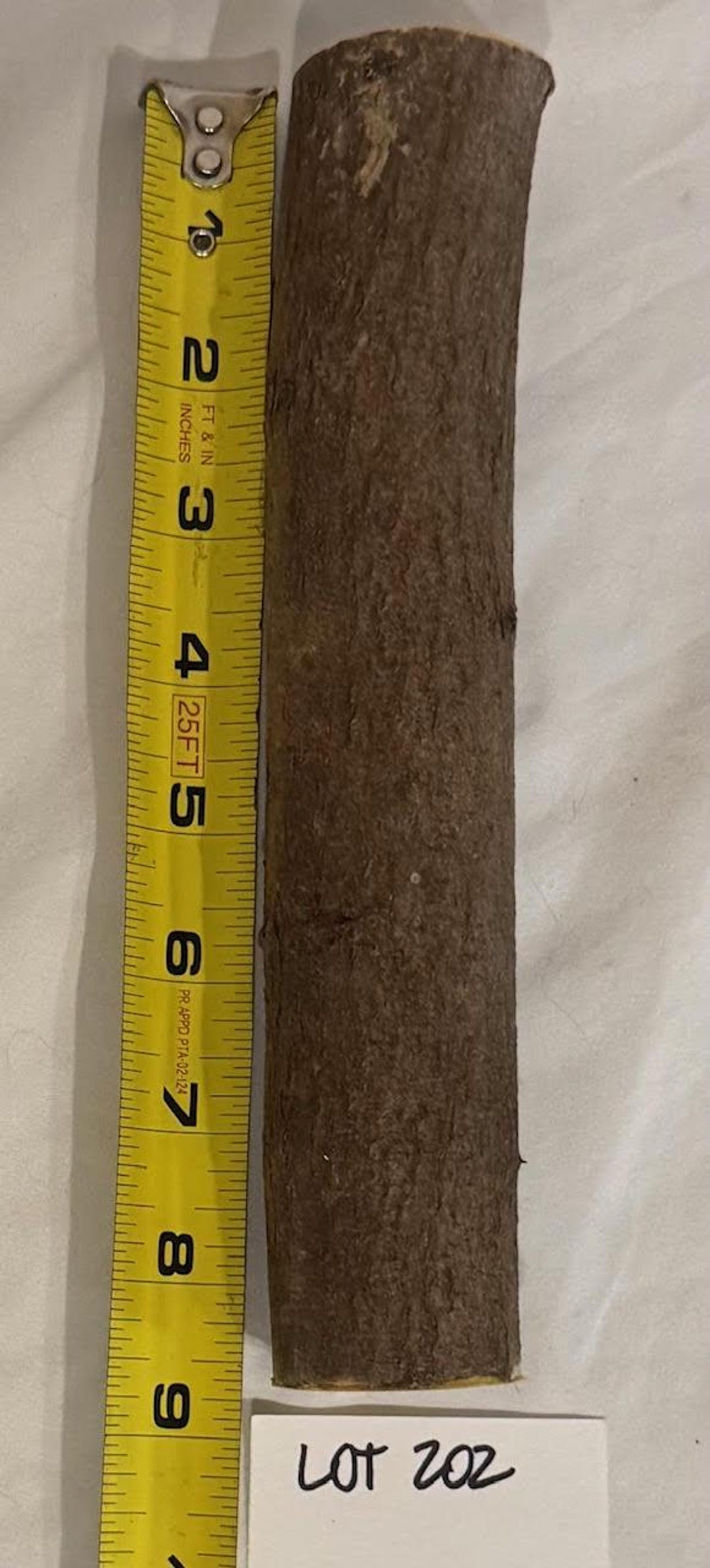 One Piece Black Locust Craft Log for Wood Working, Wood Turning, Wood ...