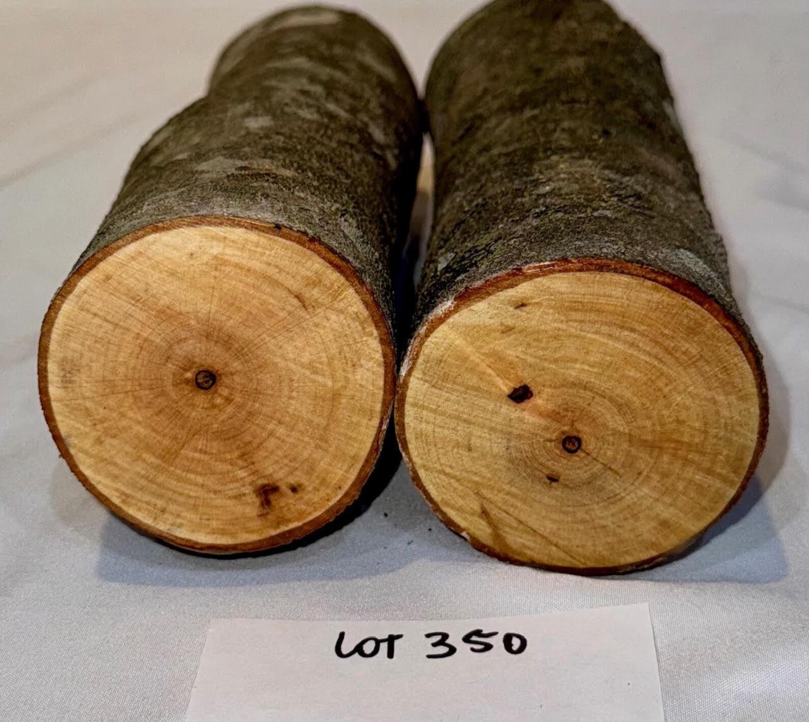 2 Pieces Red Maple Craft Logs, Green Project Logs for Woodworking, Wood ...