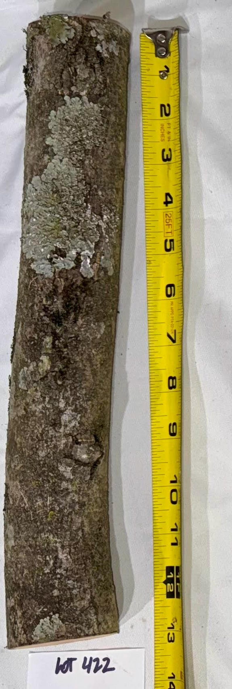 Honey Locust Wood Log, Green Woodworking, Carving Blank - Etsy