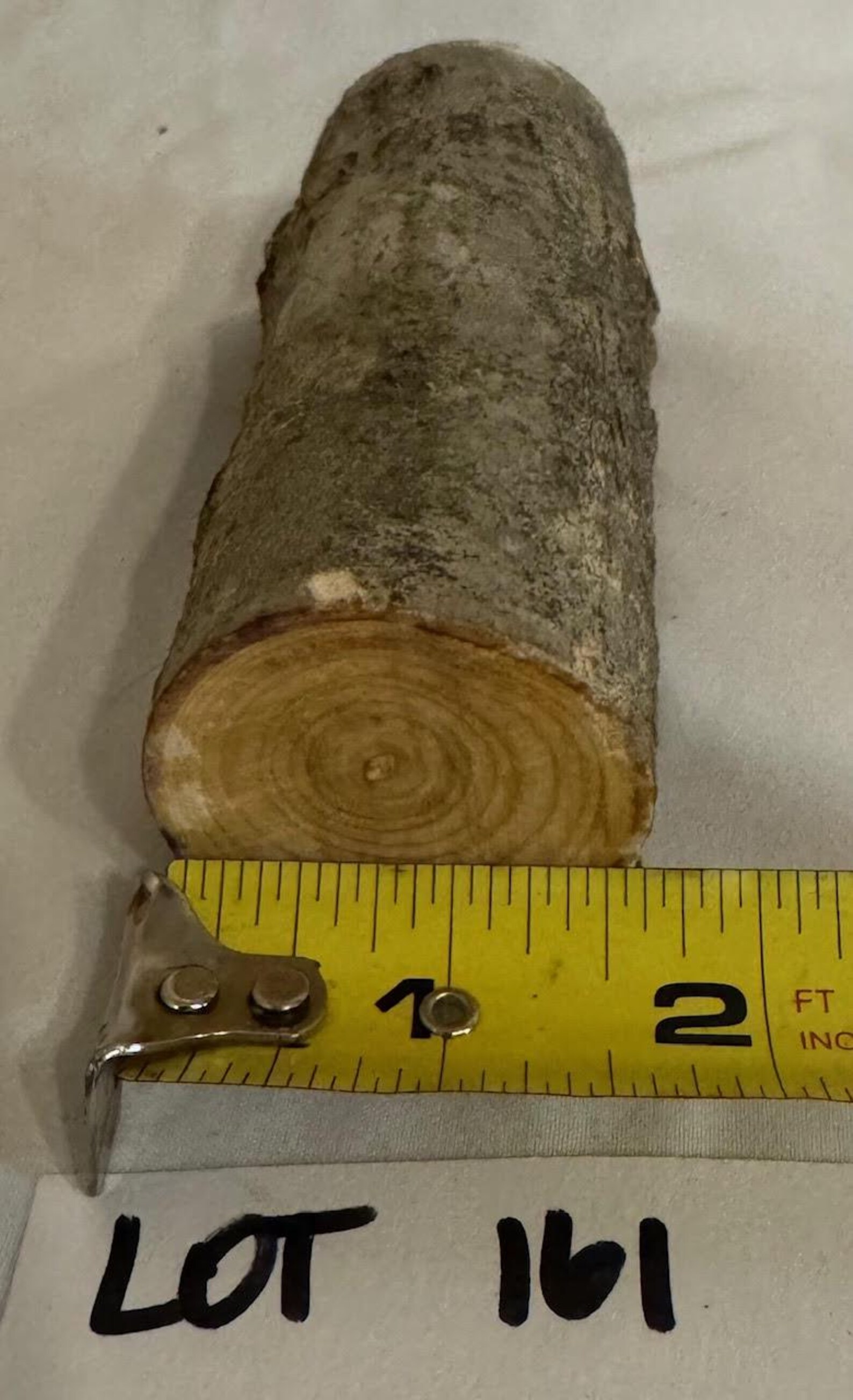 One Piece Ash Craft Log for Woodworking, Woodturning, Woodcarving ...