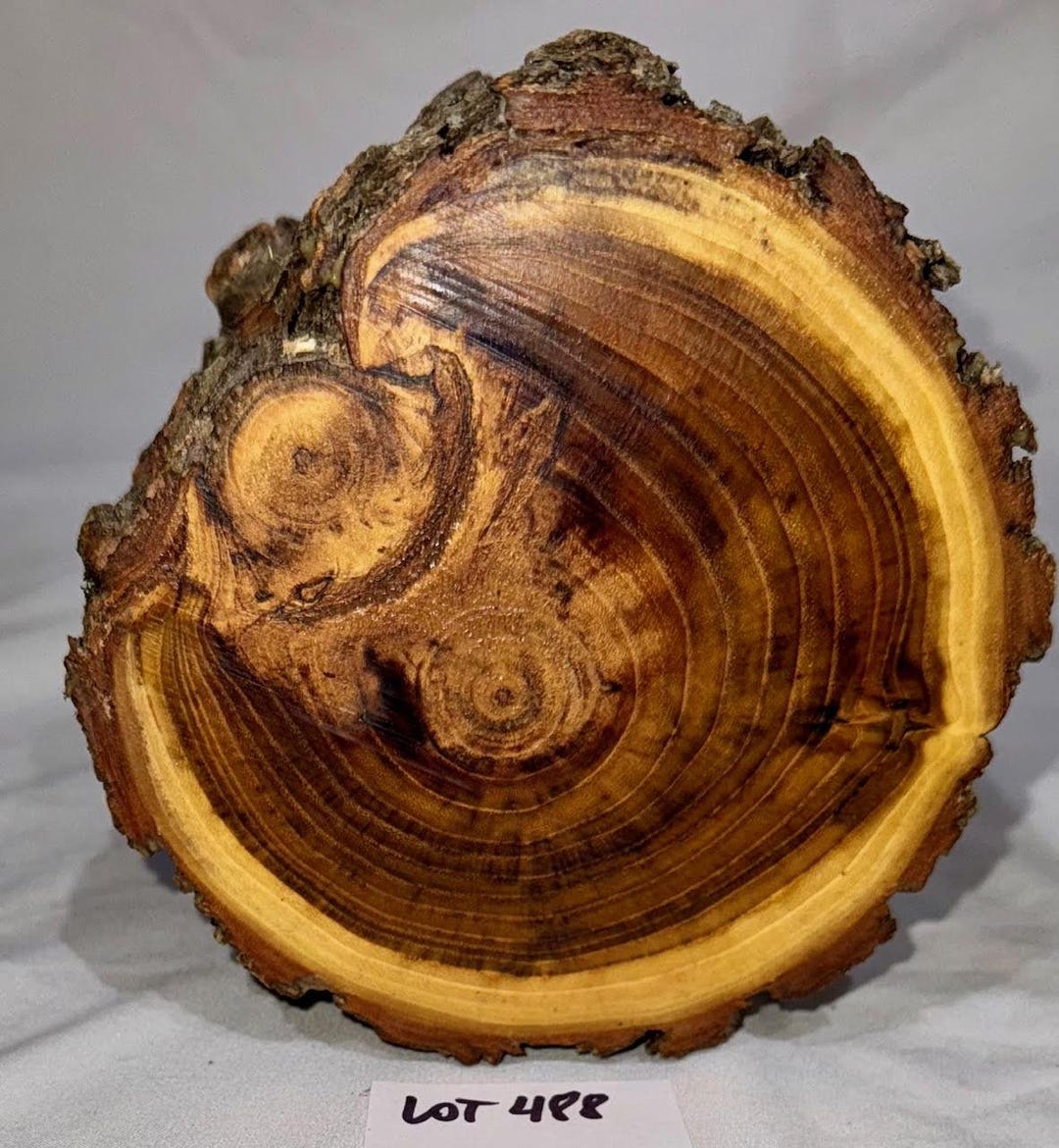 Super Unique! Large Black Locust Project Log With Curled Grain Pattern ...