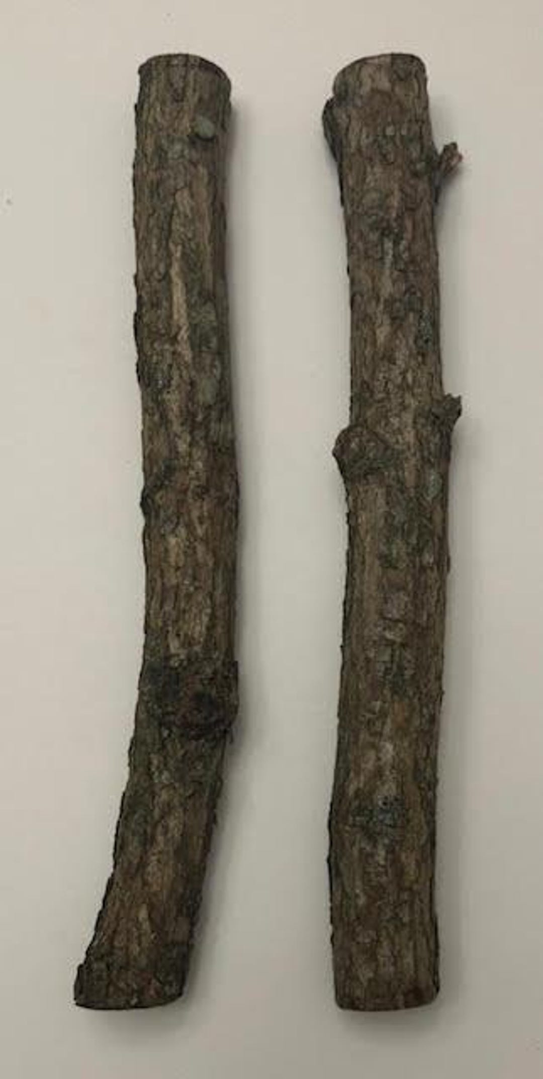 2 Pieces Bur Oak Craft Logs for Wood Working, Wood Turning, Wood ...