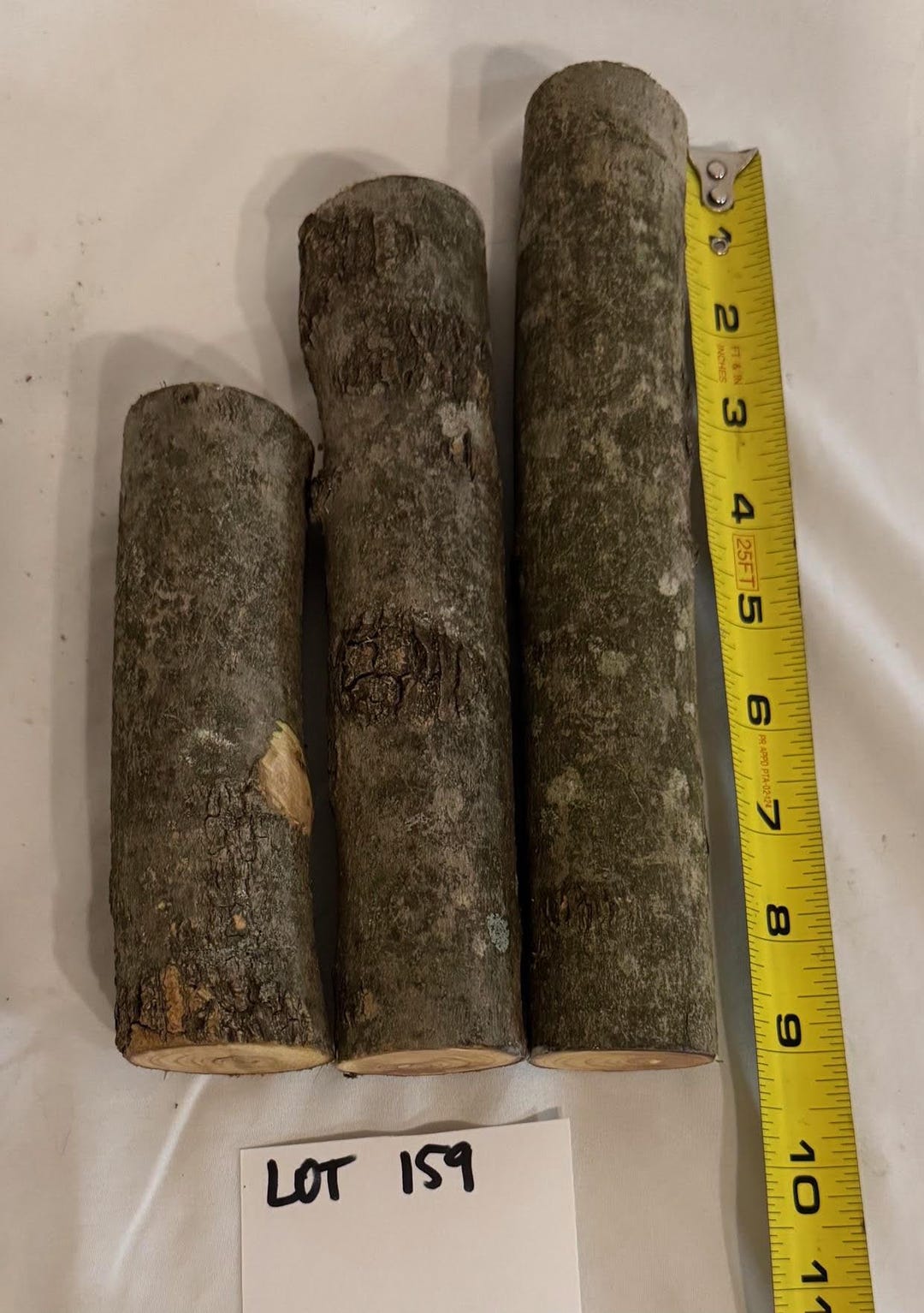 Three Pieces Ash Craft Logs for Woodworking, Woodturning, Woodcarving ...