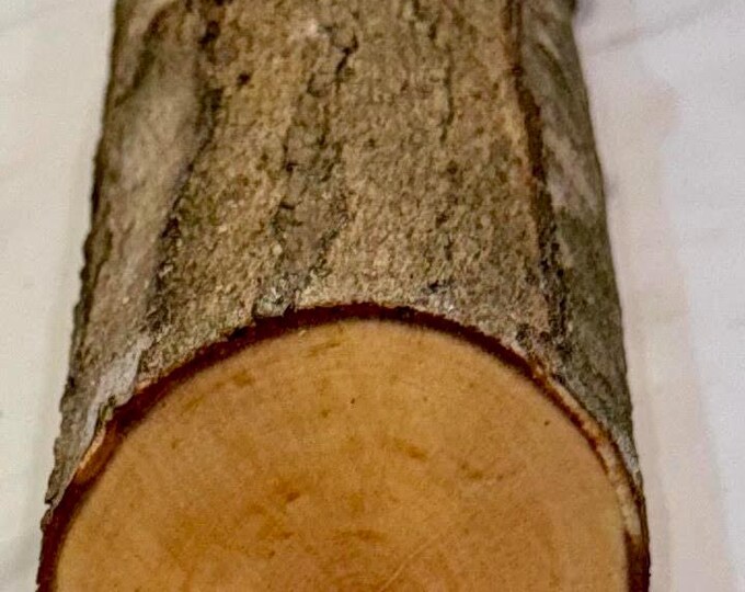 Red Maple Craft Log, Green Project Wood for Wood Working, Wood Turning ...