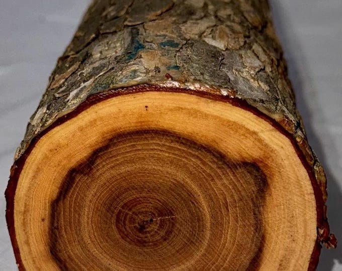 American Hornbeam, Ironwood, Musclewood, Blue Beech Project Log, Green ...