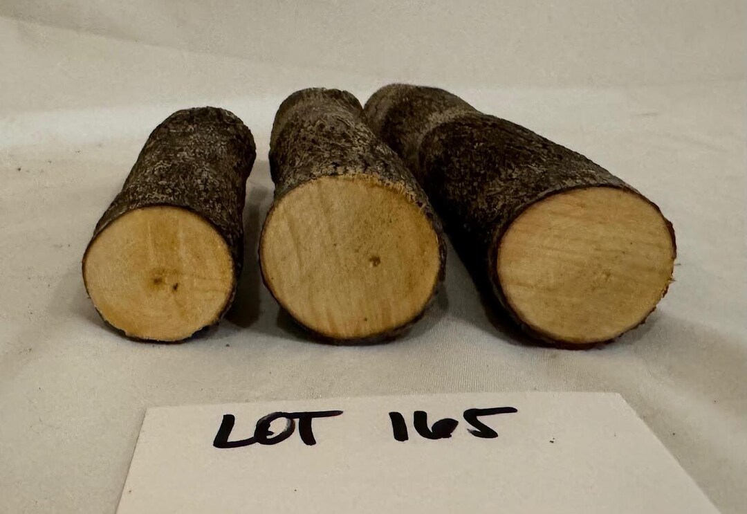 Three Piece Ash Craft Logs for Woodturning, Woodworking, Woodcarving ...