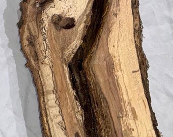 Spalted Red Oak Craft Log, Project Wood for Woodworking, Wood Carving ...