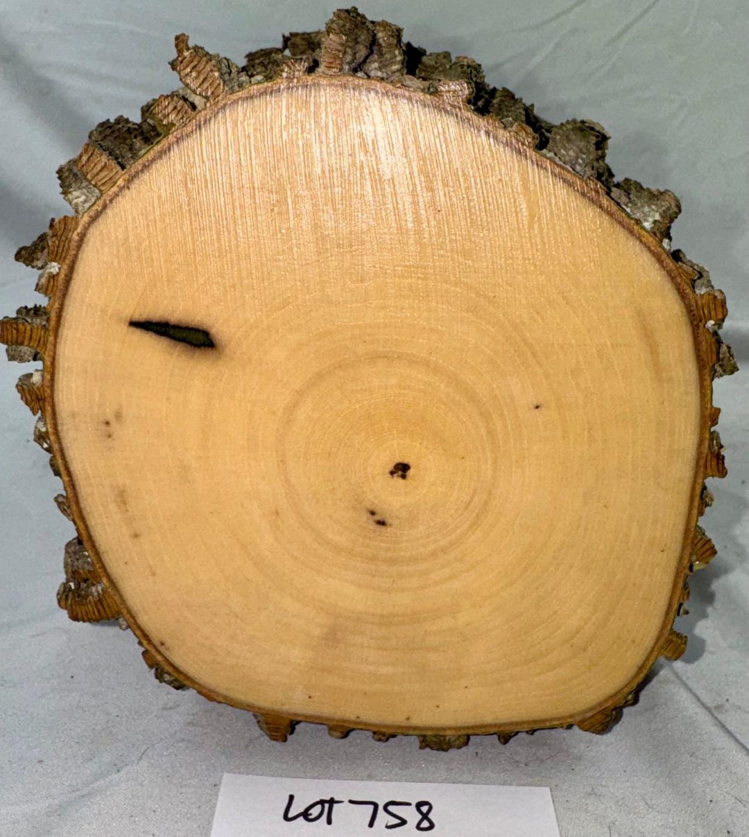 Hackberry Wood Project Log, Green Craft Log 9.75 X 6 Inches - Etsy ...