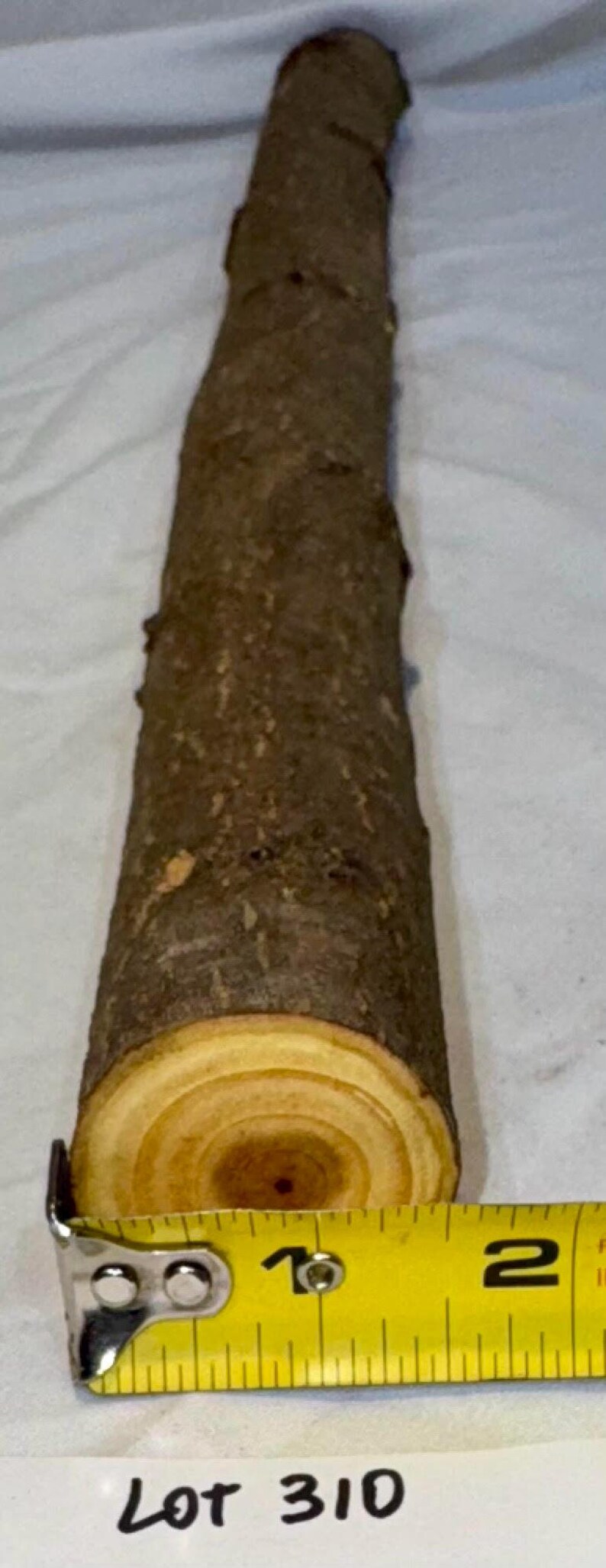 Black Locust Craft Log, Woodworking, Wood Carving Blank, 24.25 Inch - Etsy