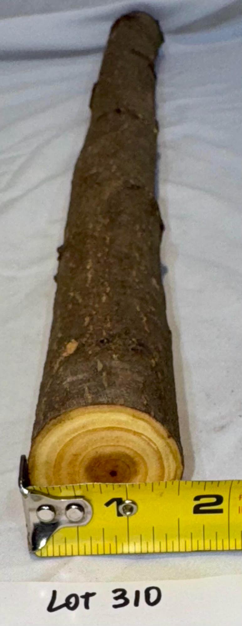 Black Locust Craft Log, Green Project Wood for Wood Working, Wood ...
