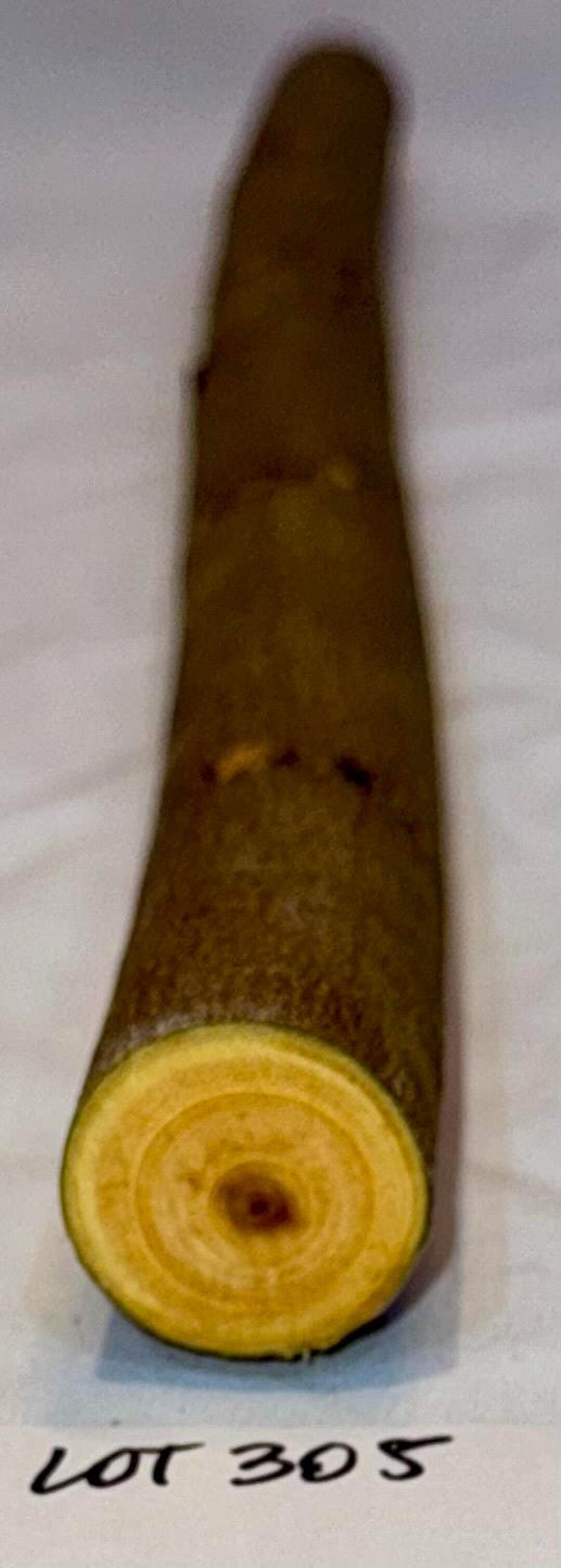 Black Locust Craft Log, Green Wood for Wood Working, Wood Carving, Wood ...