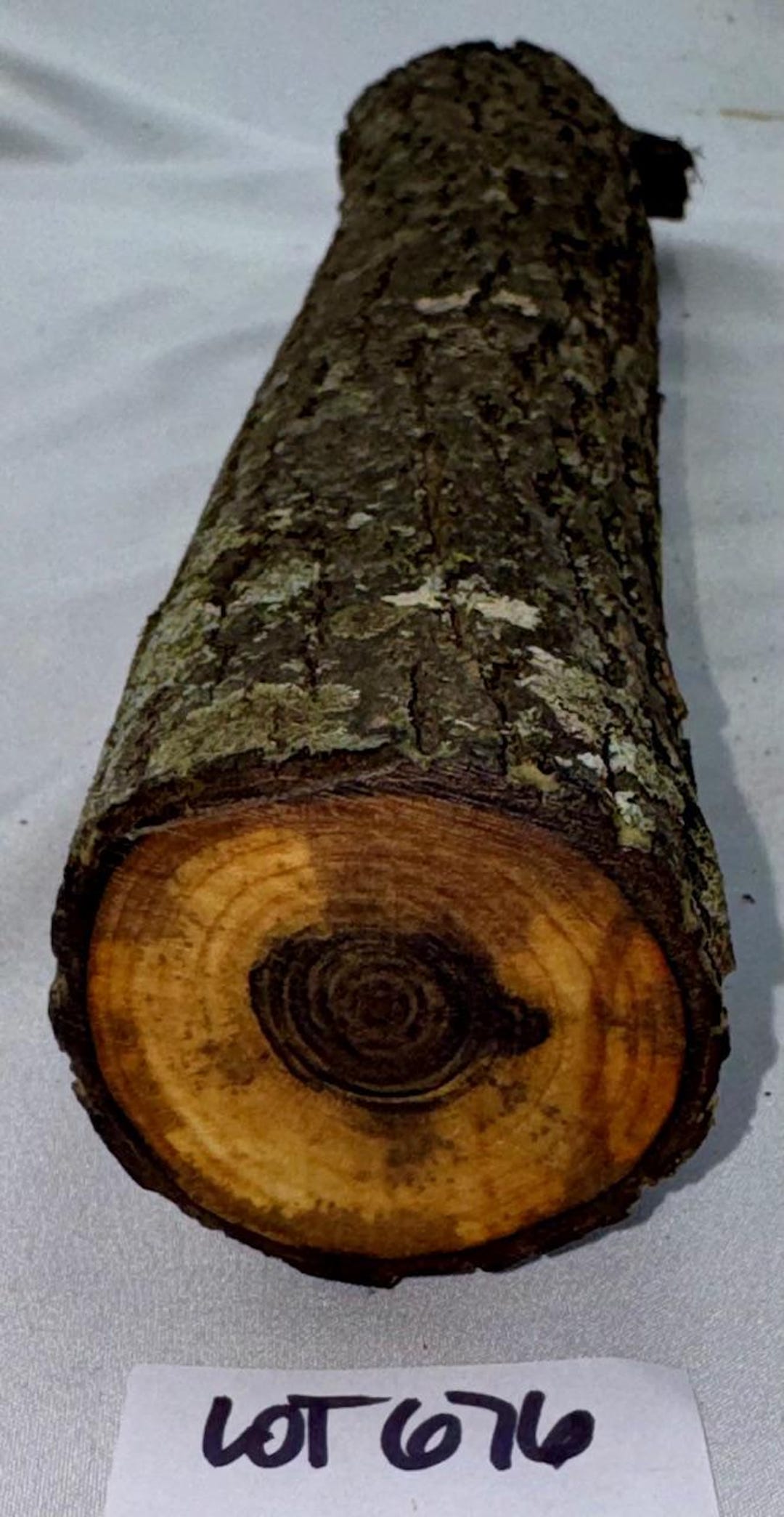 Black Walnut Craft Log, 14.75 X 2.25 Inches Green Project Wood - Etsy