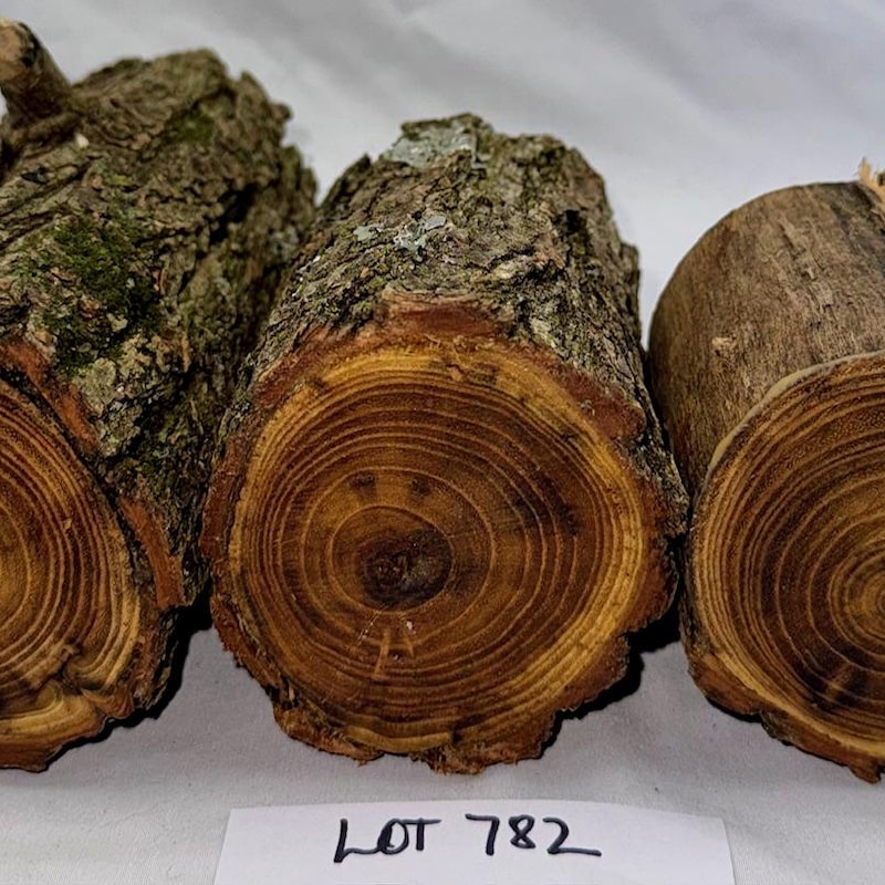 Black Locust Wood Blank - Etsy