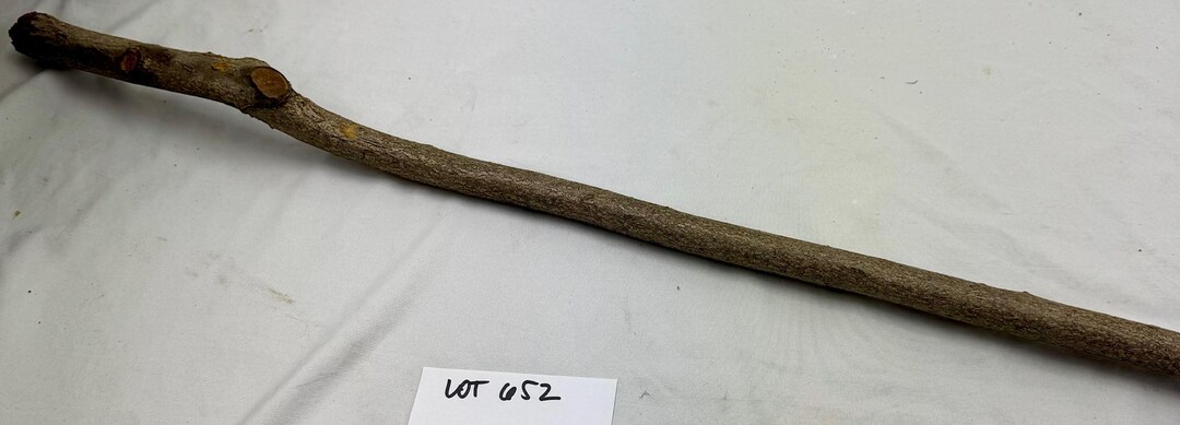 Hazel Walking Stick, Cane Blank 62 Inches X 1 Inch Green Wood - Etsy