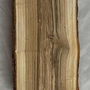 One Piece Sassafras Live Edge Craft Log for Woodworking, Woodturning ...