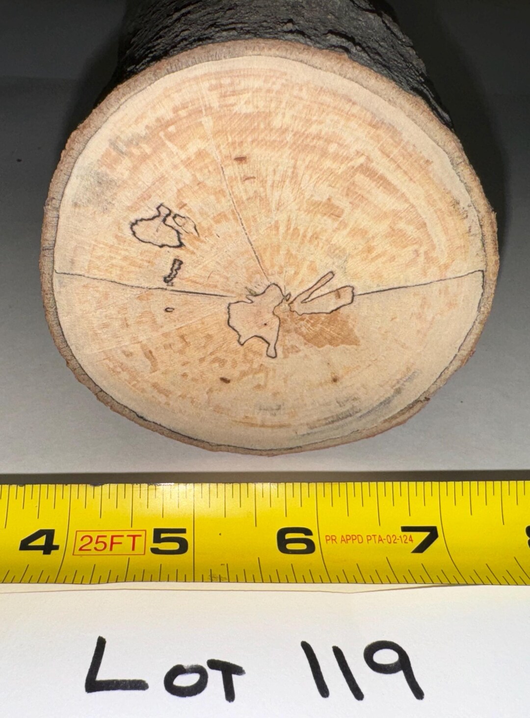 One Piece Spalted Maple Craft Log for Woodturning, Woodworking ...