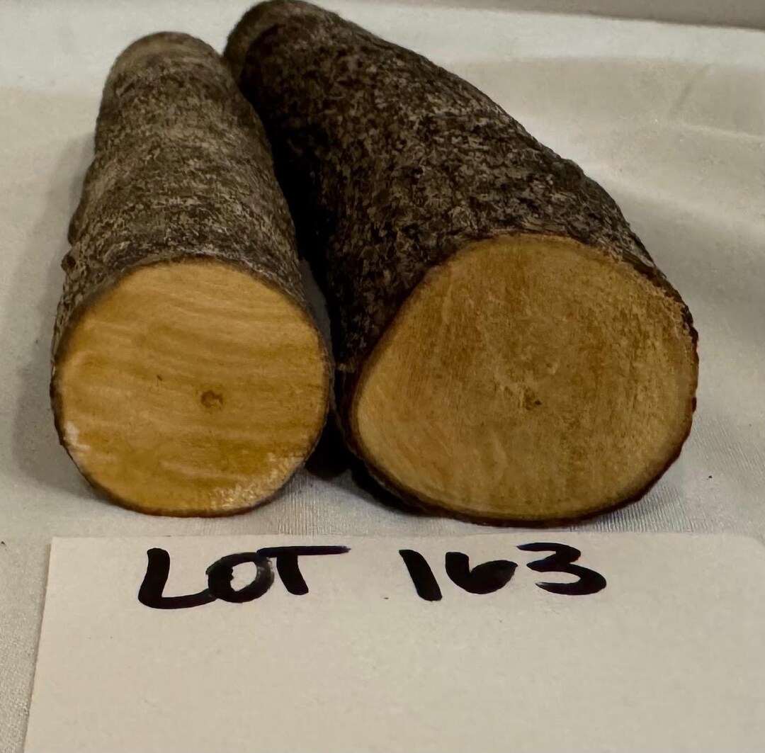 Two Pieces Ash Craft Logs for Woodturning, Woodworking, Woodcarving ...