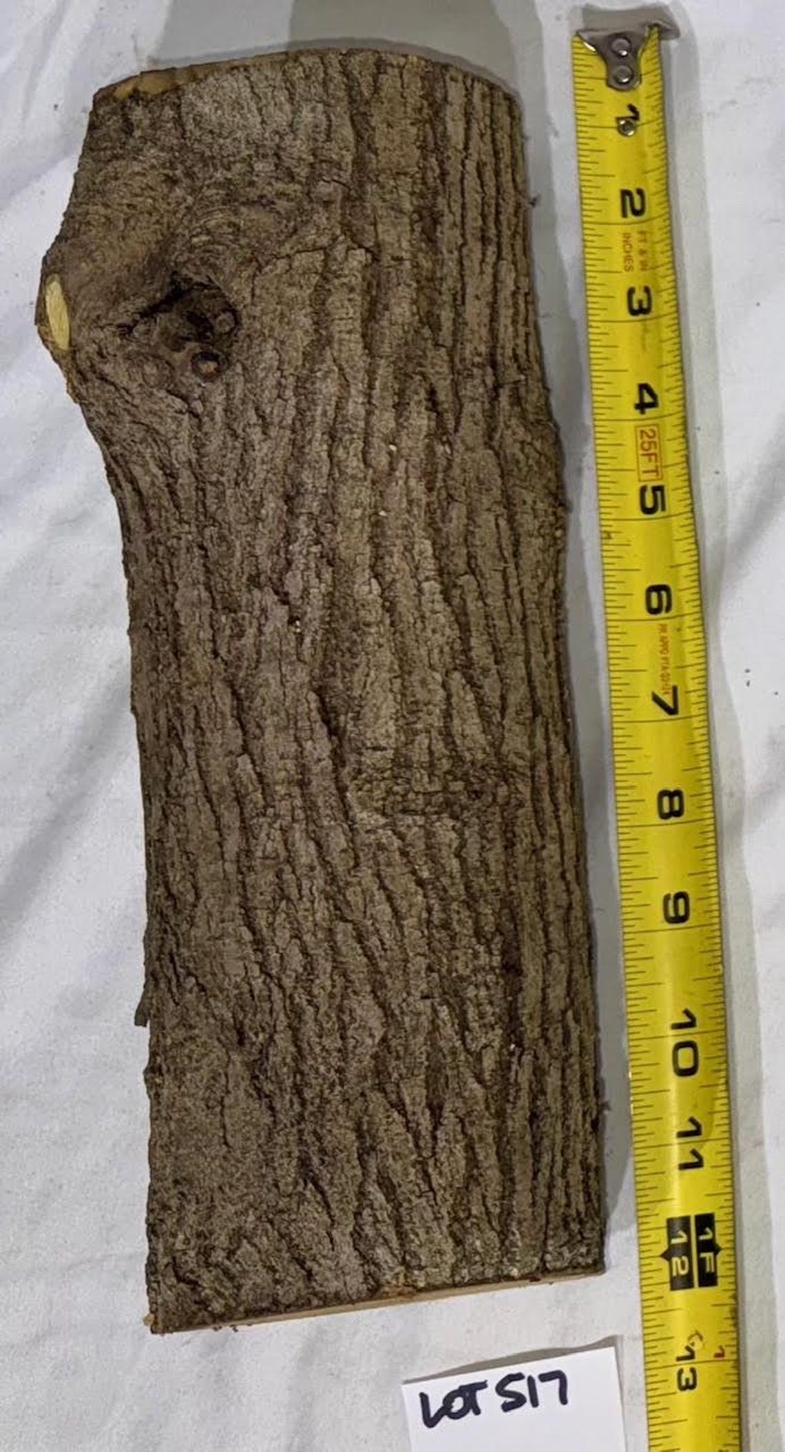 Mulberry Craft Wood Log, Woodworking Carving Blank (11x3.5 In) - Etsy