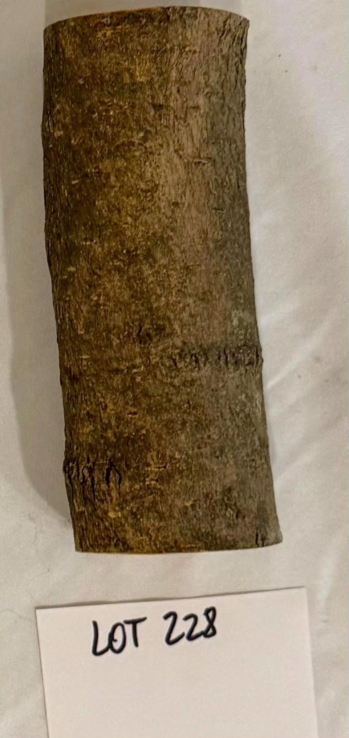 Mulberry Wood Craft Log, Wood Turning, Carving Blank (5.25x2 Inches) - Etsy