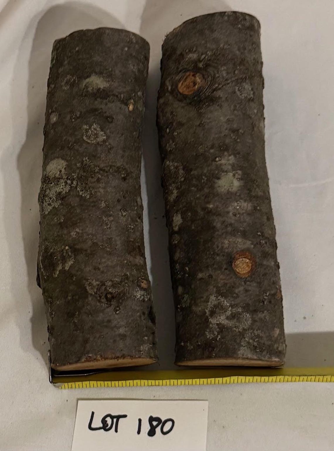 2 Pieces Oak Craft Logs for Wood Turning, Wood Working, Wood Carving ...