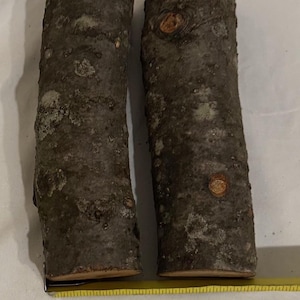 2 Pieces Oak Craft Logs for Wood Turning, Wood Working, Wood Carving ...