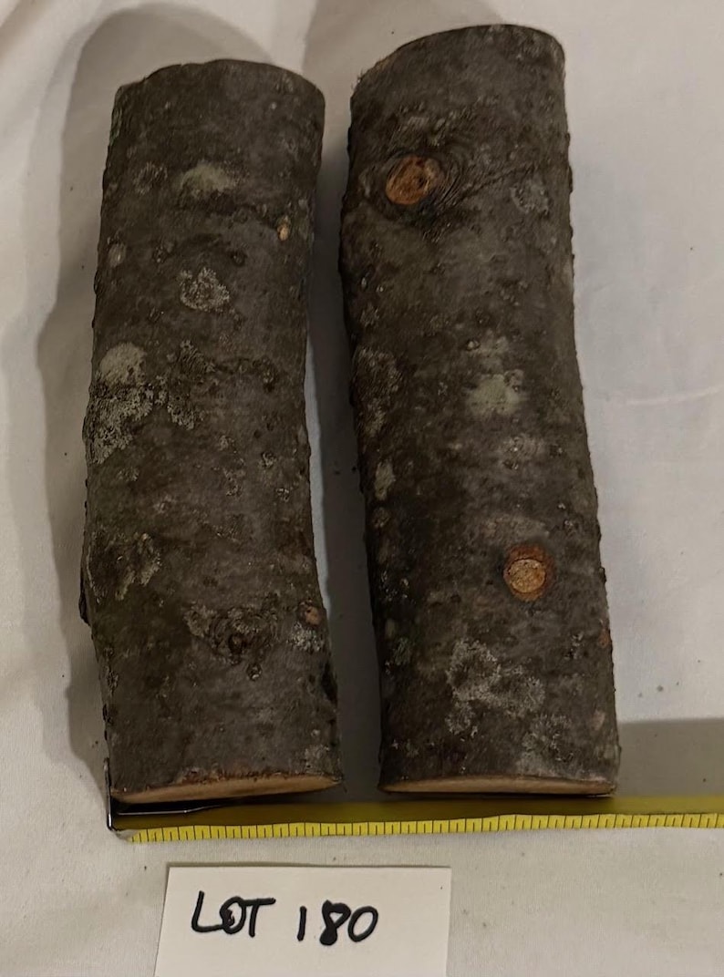 2 Pieces Oak Craft Logs for Wood Turning, Wood Working, Wood Carving ...