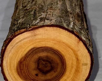 American Hornbeam, Blue Beech, Ironwood, Musclewood Craft Log, Green ...
