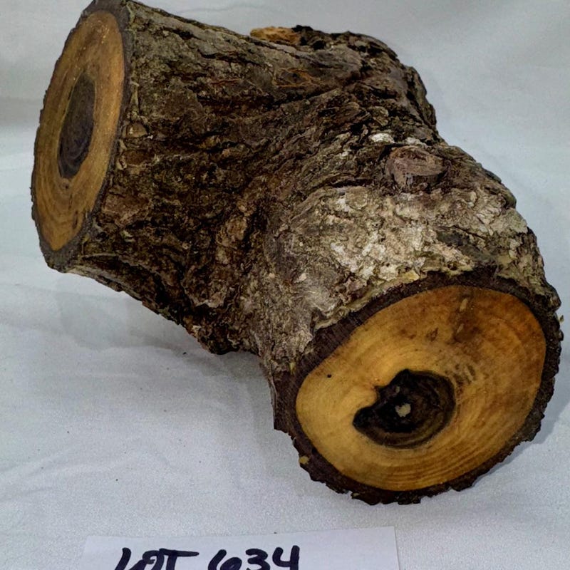 Log Vase - Etsy