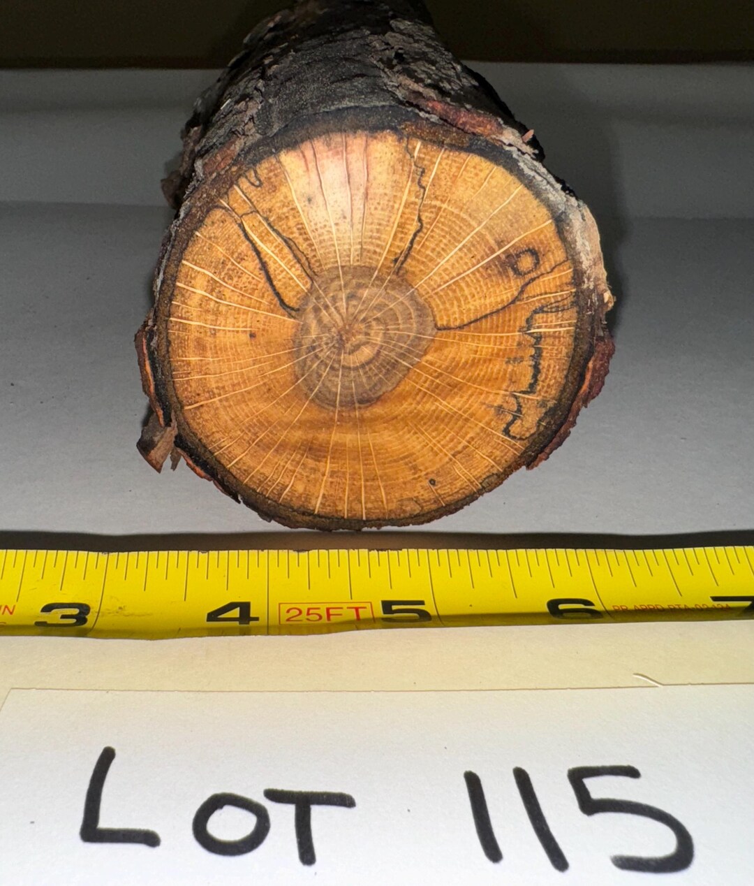 One Piece Natural Spalted White Oak Craft Log, Craft Wood, Project Wood ...