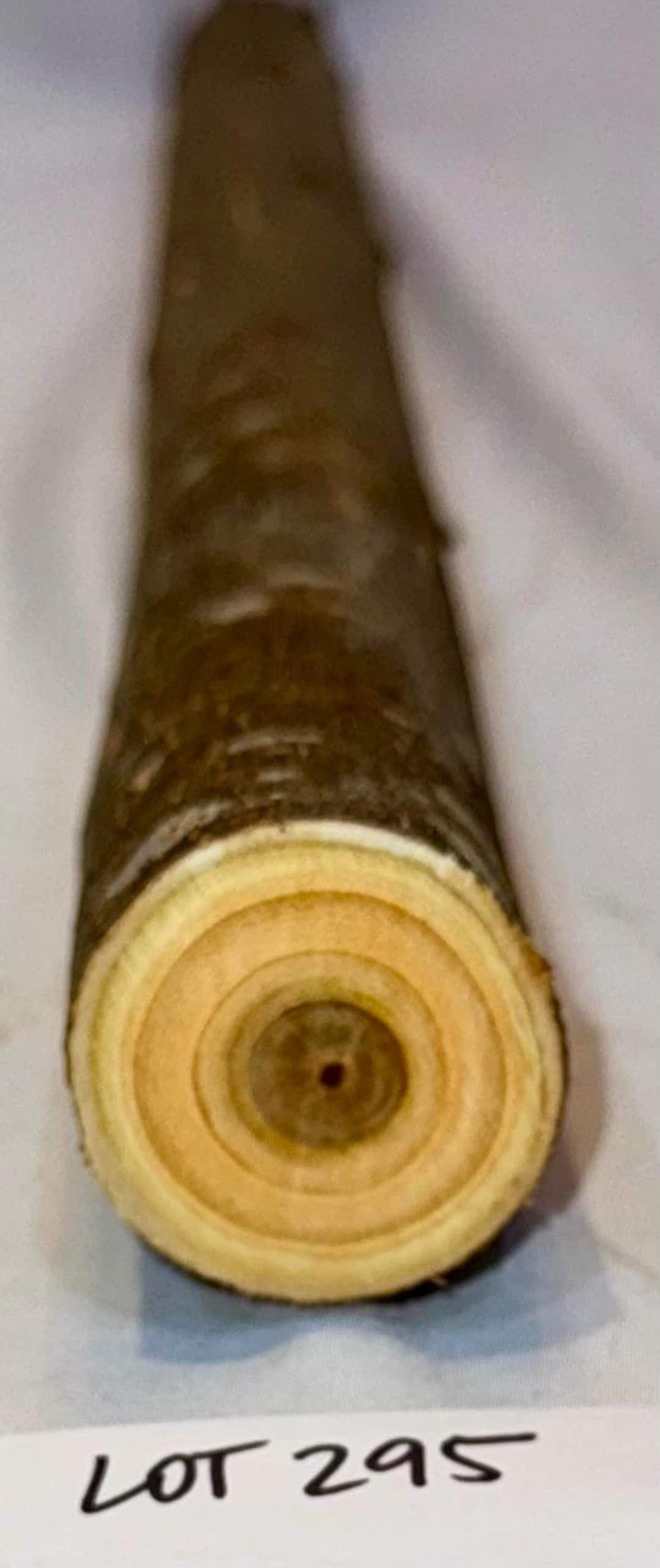 Black Locust Craft Log, Green Wood for Wood Turning, Wood Working, Wood ...