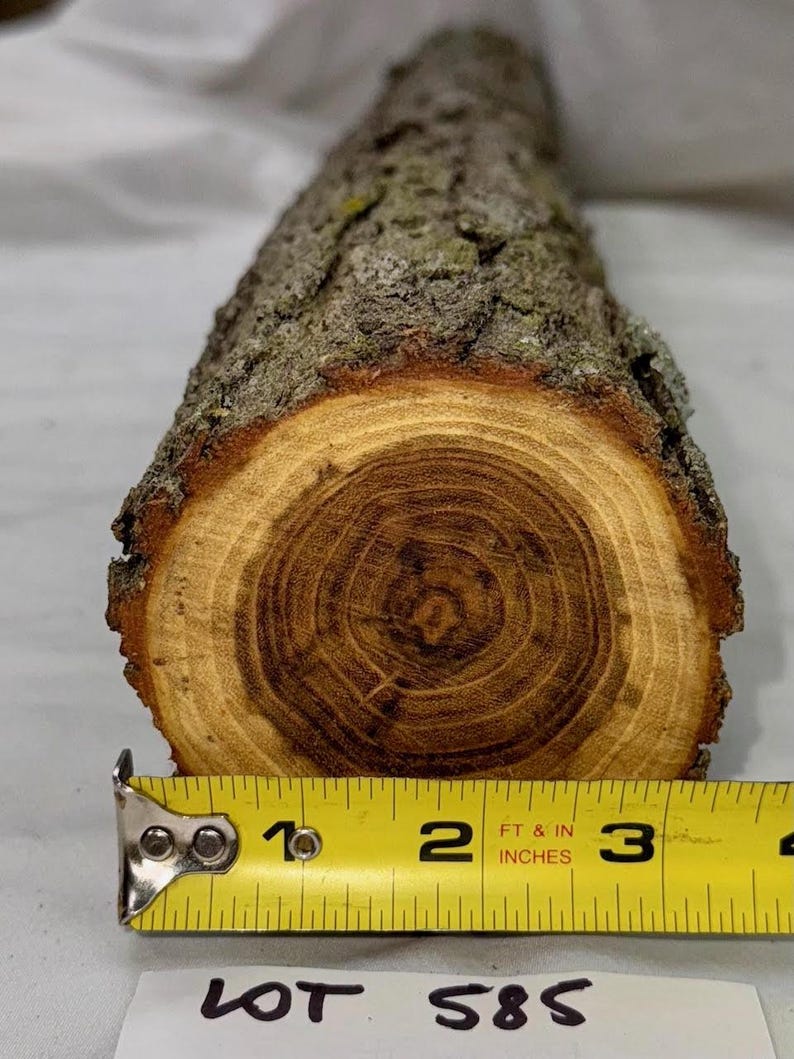 Black Locust Wood Project Log, Craft Woodworking Blank (29x3.5 Inches ...